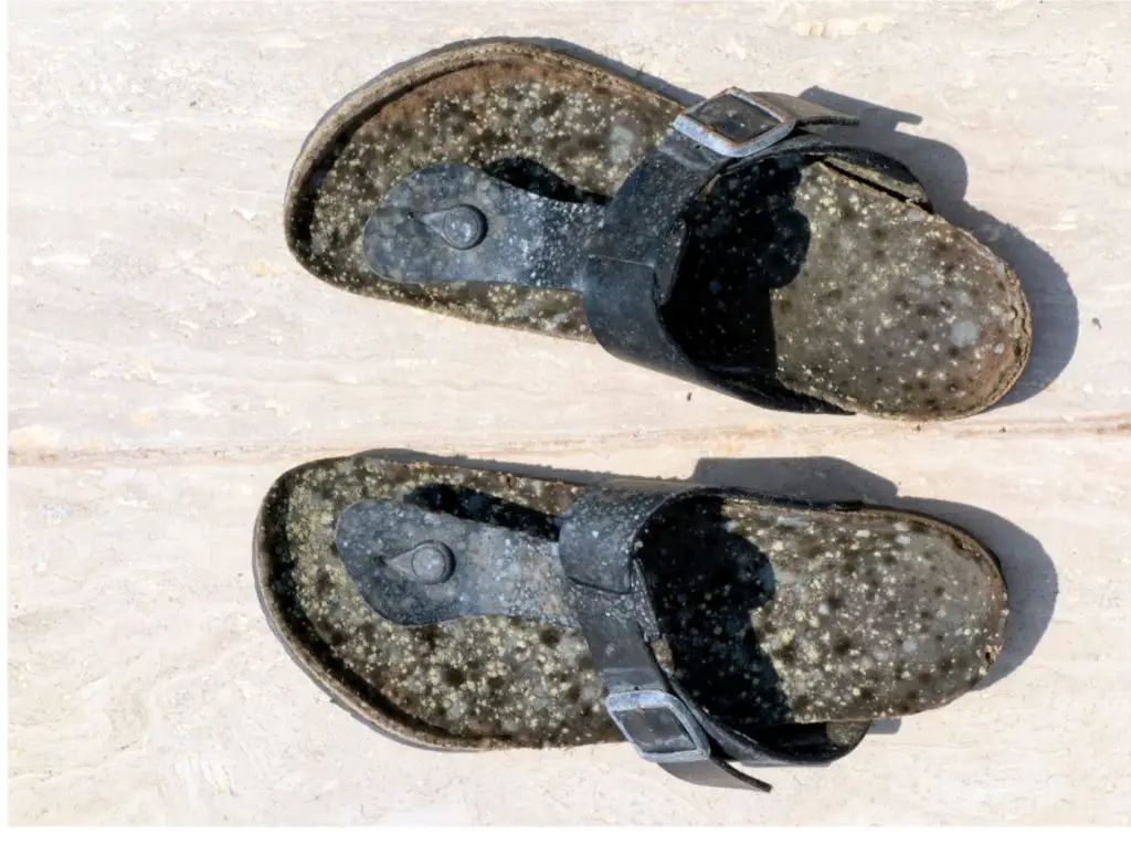 Do Humidifiers Cause Mold?