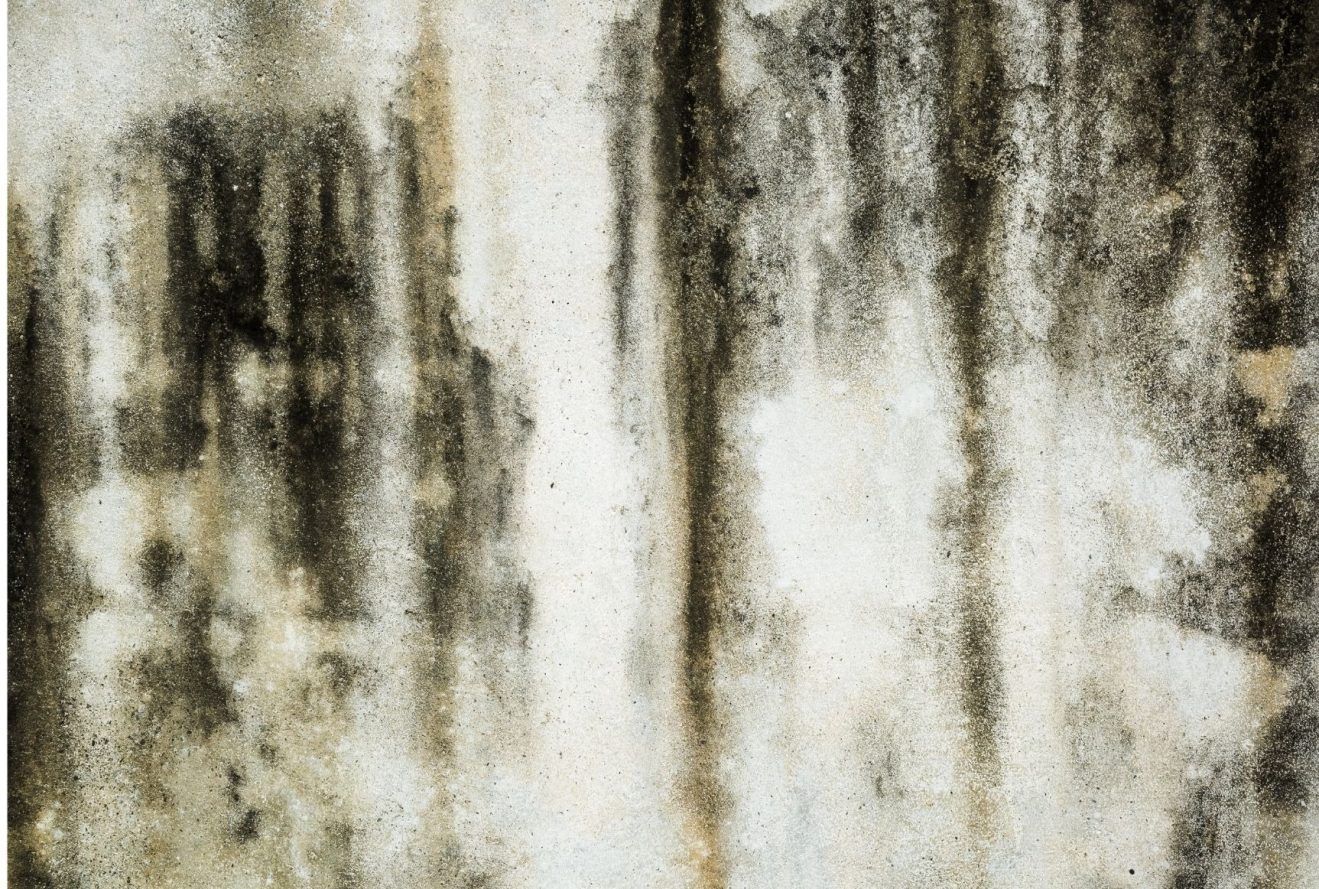 Why Does My Room Smell Musty?