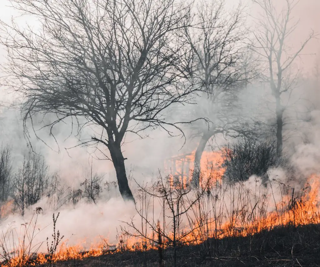 HEPA Filter Types and Full Form Explained: Particle Size Removal ...