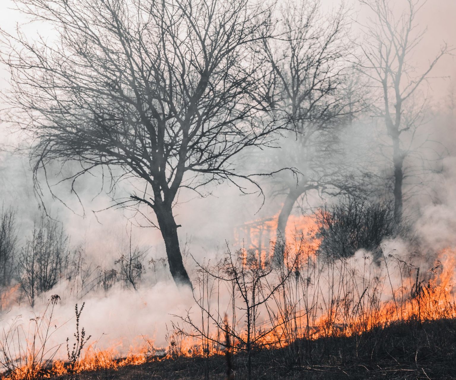 HEPA Filter Types and Full Form Explained: Particle Size Removal ...